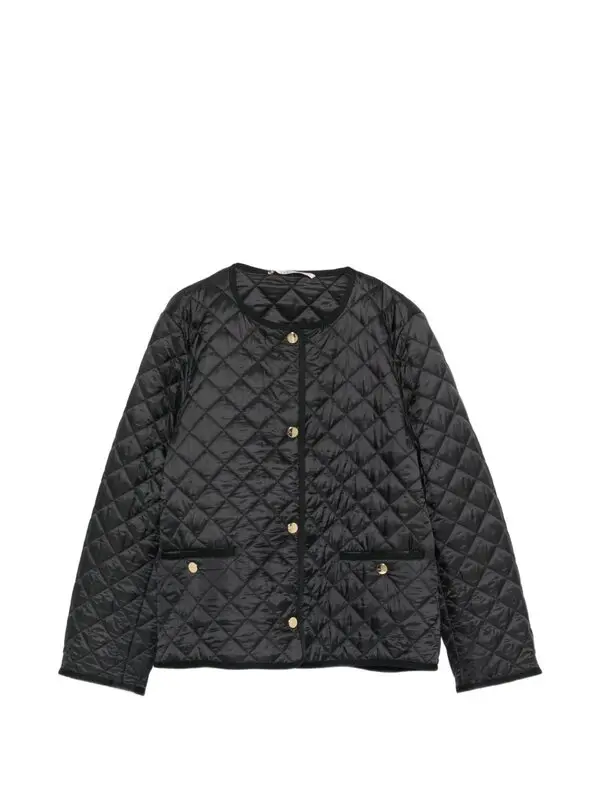 Max Mara Nylon Quilted Blouson Jacket - Multicolor