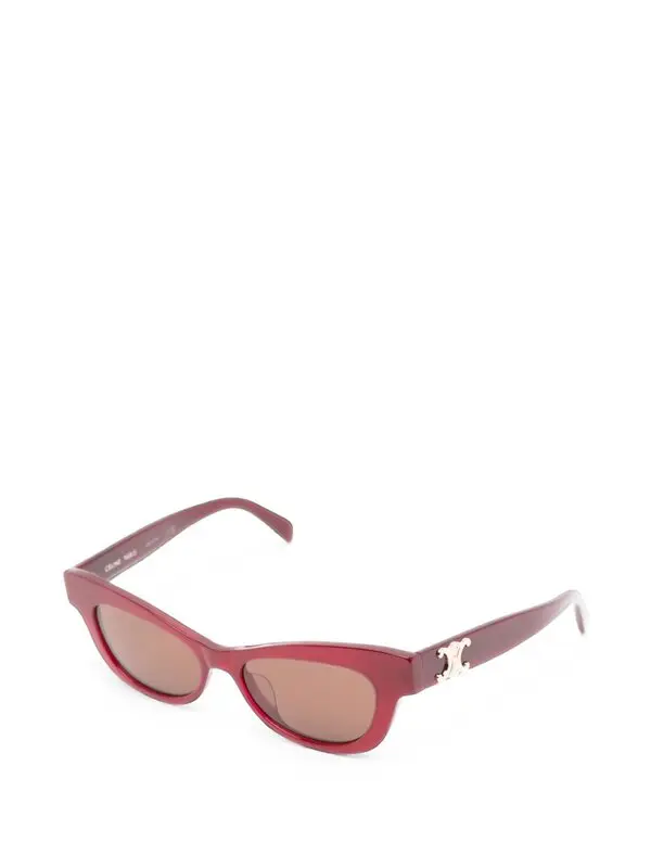 Celine Triomphe Sunglasses - Multicolor