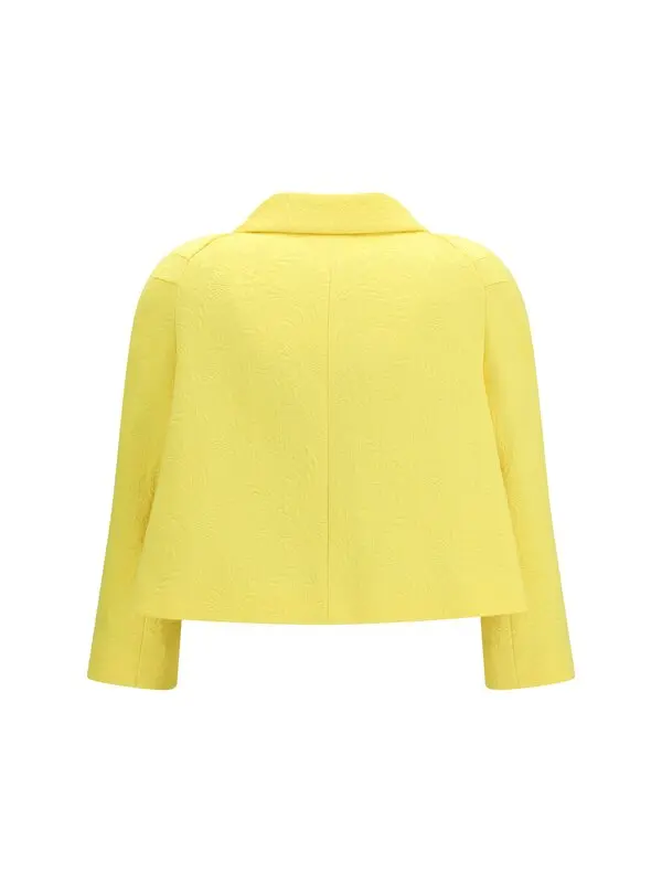 Dries Van Noten Cropped Jacket With Jewel Buttons - Yellow