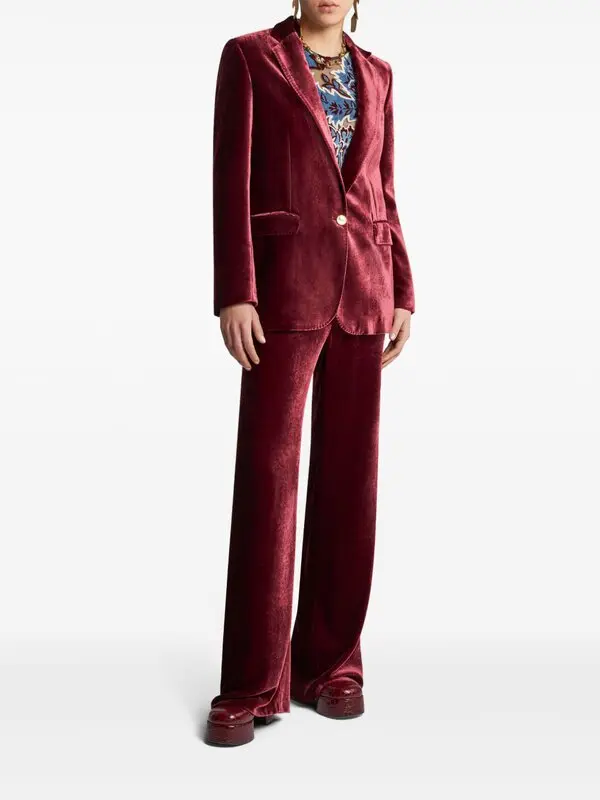 Etro Velvet Single-breasted Blazer Jacket