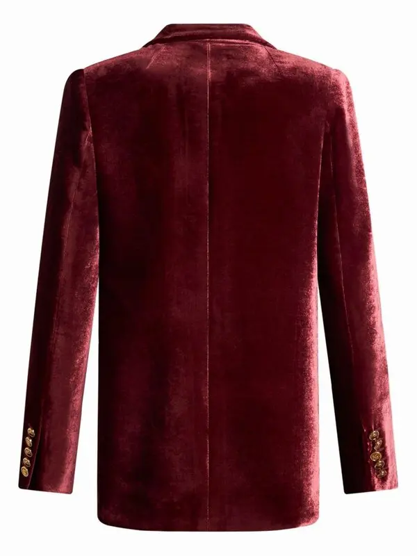 Etro Velvet Blazer Jacket - Multicolor