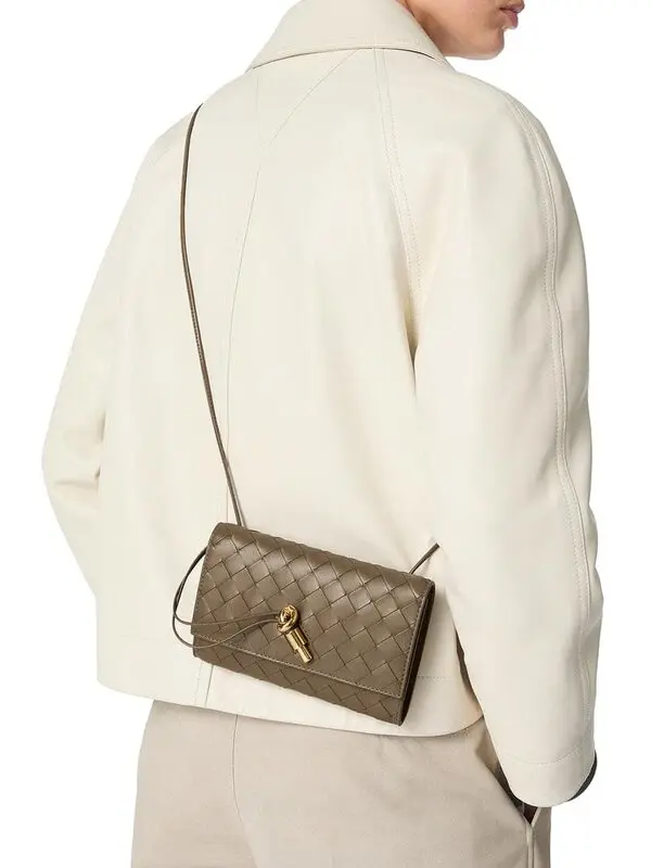 Bottega Veneta Andiamo Pouch - Multicolor