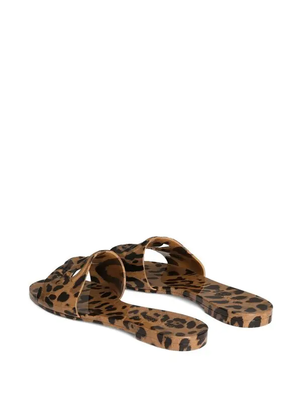 Dolce & Gabbana Dg Logo Flat Sandals - Multicolor