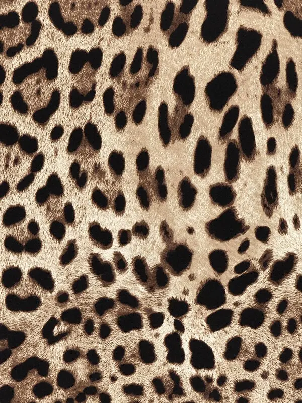 Dolce & Gabbana Leopardo' Scarf - Multicolor