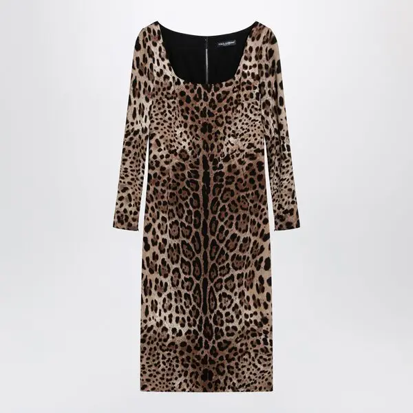 Dolce & Gabbana Leopard-print Long-sleeve Dress In Viscose - Brown
