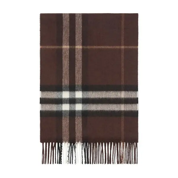 Burberry Scarves - Brown