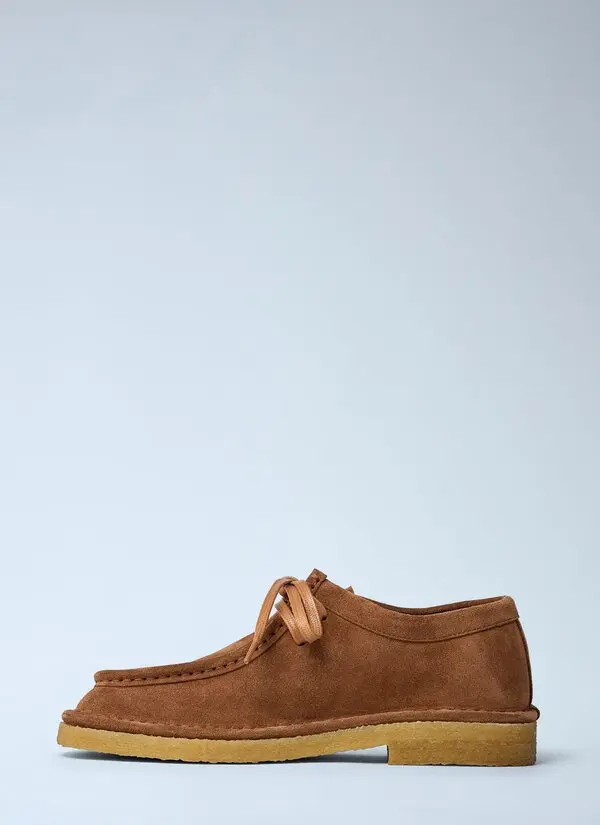 Bottega Veneta Daddy Lace-up Shoes - Multicolor