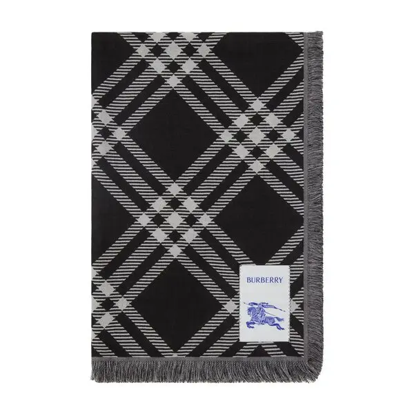 Burberry Scarves