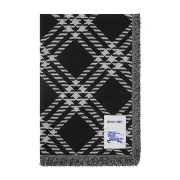 Burberry Scarves