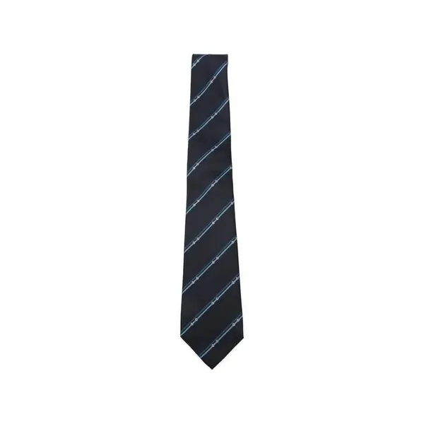 Gucci Silk Neck Ties - Blue