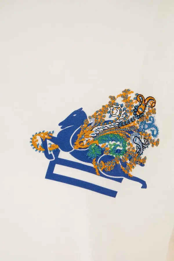 Etro Clothing T-shirt