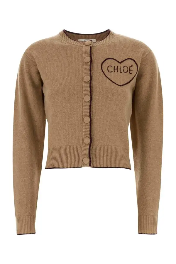 Chloé Wool Blend Cardigan - Brown