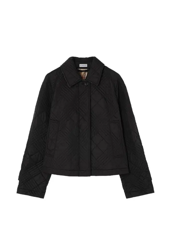 Burberry Nylon Quilted Jacket - Multicolor