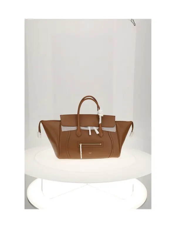 Celine Medium Luggage Bag - Multicolor