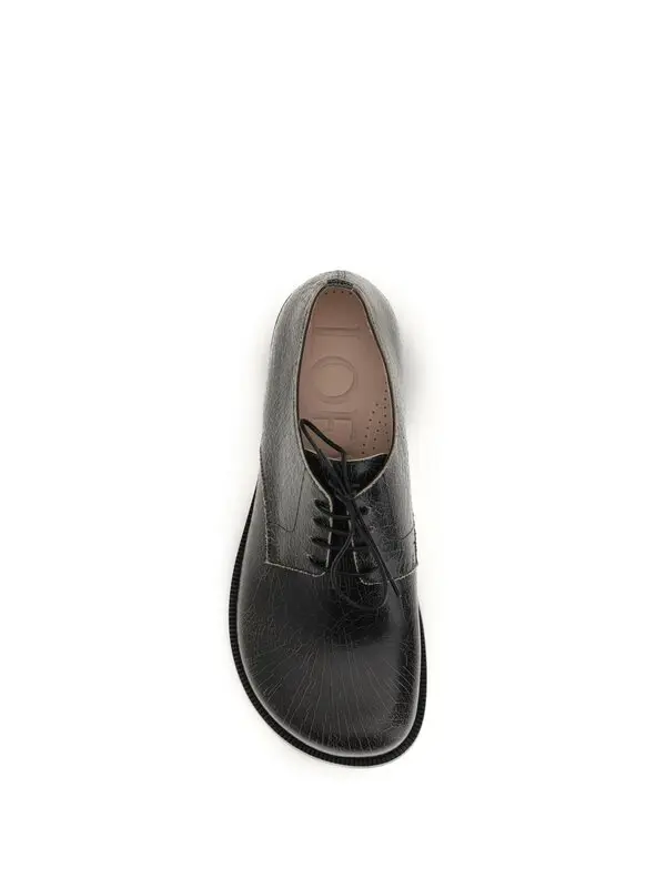 Loewe Campo Derby Lace-ups
