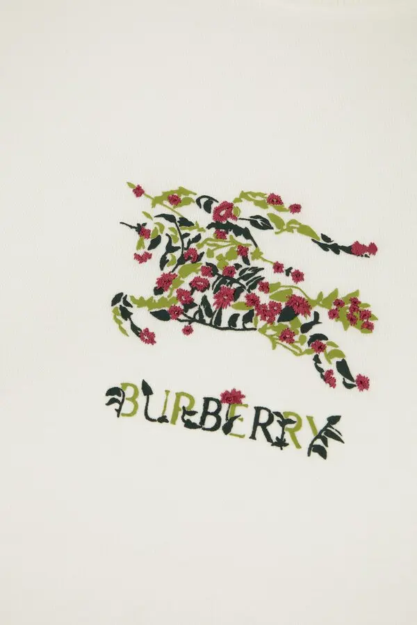 Burberry Graphic T-shirt - Multicolor