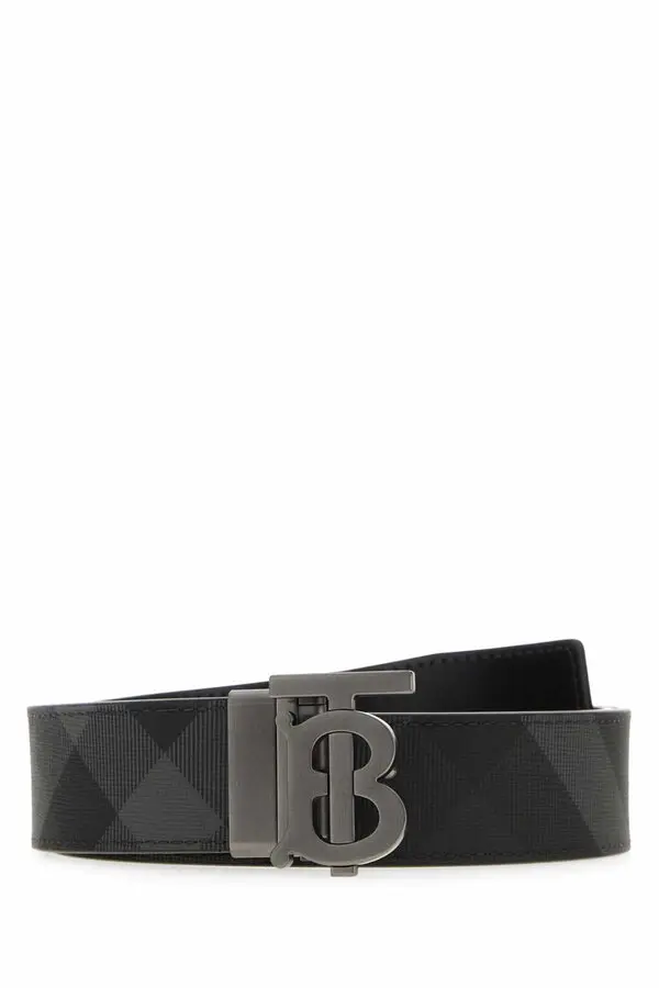 Burberry A:mb Tb 35mm Plaque Rvs Brt:173339:a2560 - Multicolor