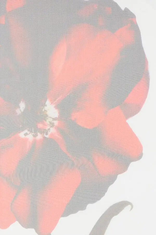 Alexander McQueen Accessories Scarves & Shawls
