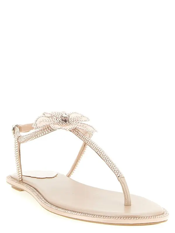 Rene Caovilla Peach Flower Sandals - Pink