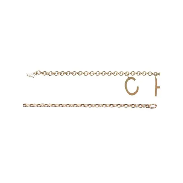 Chloé Belts