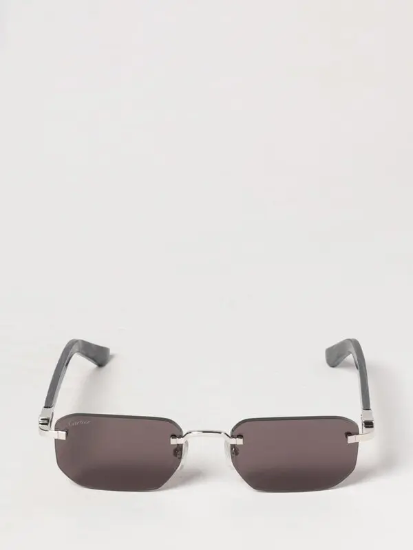 Cartier Acetate And Metal Ct0622s Sunglasses