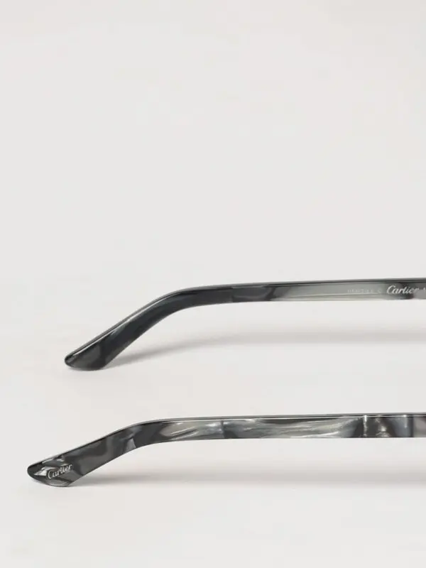 Cartier Acetate And Metal Ct0622s Sunglasses