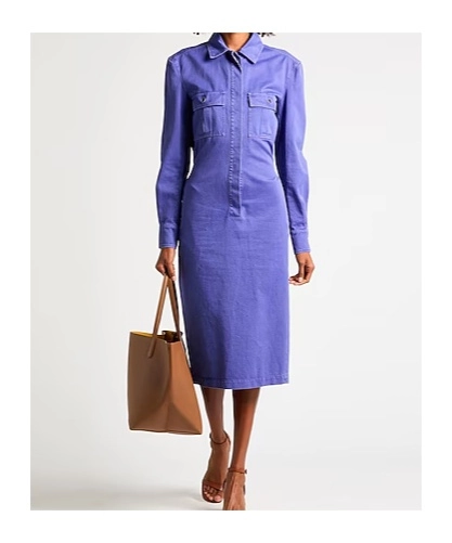 Max Mara Long Sleeve Shirt Dress