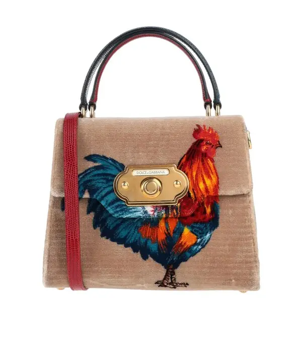 Dolce & Gabbana Multicolor Velvet Handbag - Brown