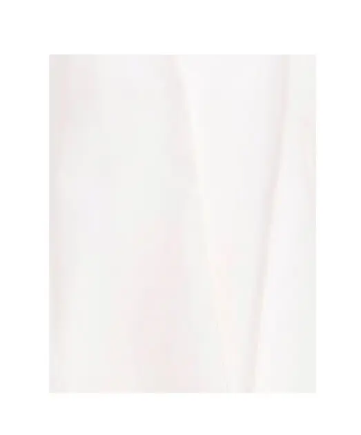 Max Mara Single-breasted Blazer