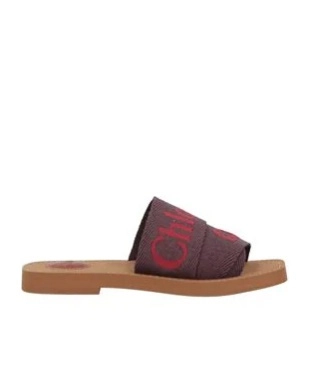 Chloé Two-tone Minimalist Slide Sandals