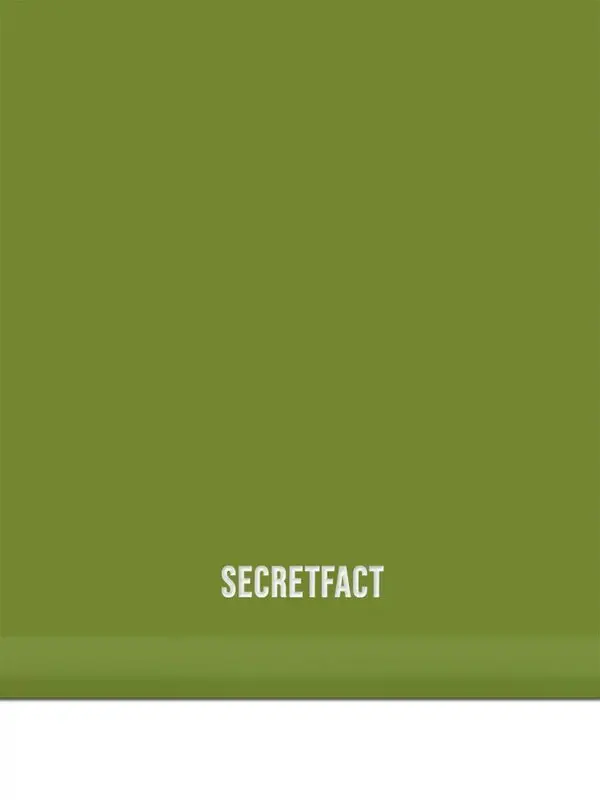 SECRETFACT The Base Phone Card Pocket - Green