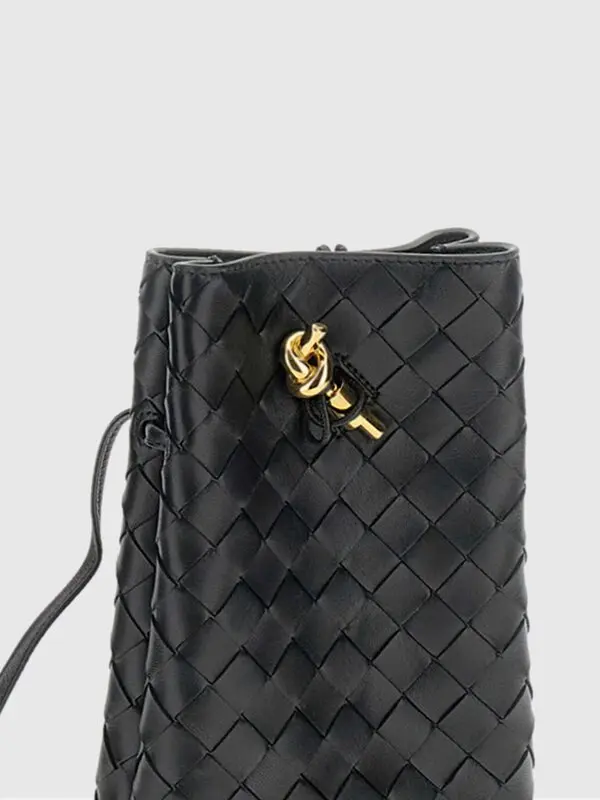 Bottega Veneta Case