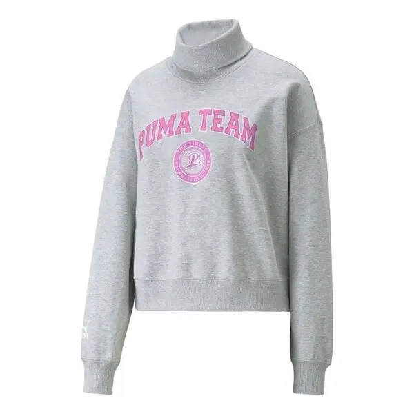 PUMA Team Sweatshirt 'grey - Grey/pink