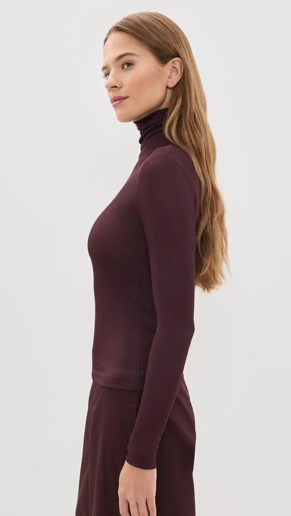 AGOLDE Caryle Turtleneck Top