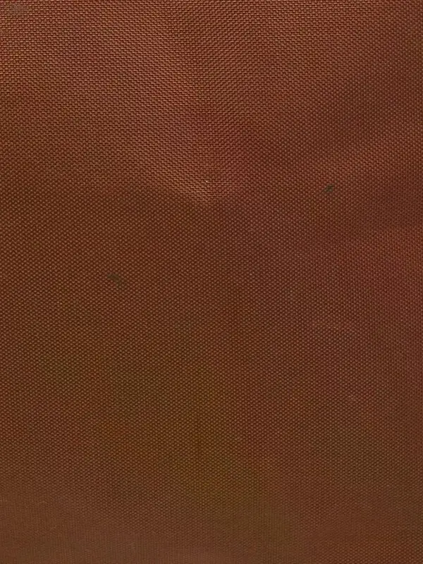 Longchamp Le Pliage Tote Bag