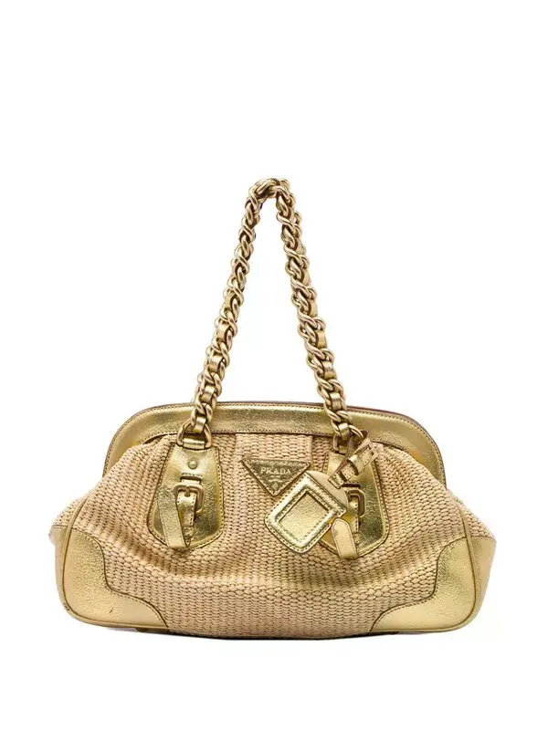 Prada 2010-2026 Cinghiale Trimmed Paglia Shoulder Bag