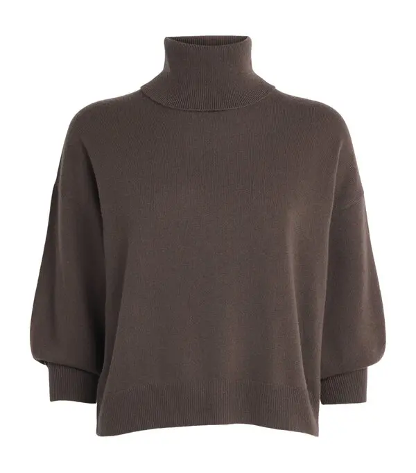 Max Mara Virgin Wool-cashmere Rollneck Sweater - Brown