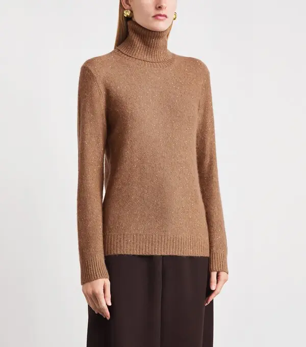 Fabiana Filippi Sequin Rollneck Sweater