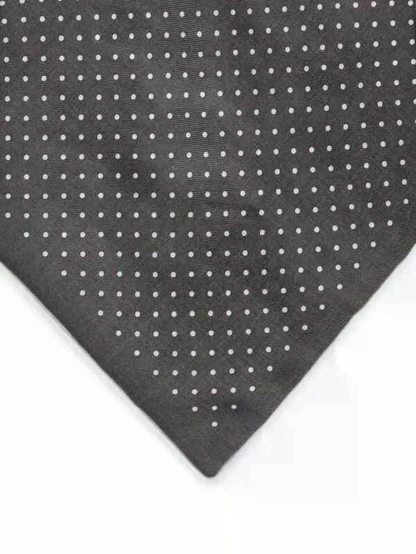 Destin Polka-dot Paisley-print Scarf