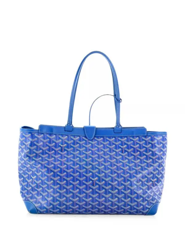 Goyard Bellechasse Bag Coated Canvas Pm Tote Bag