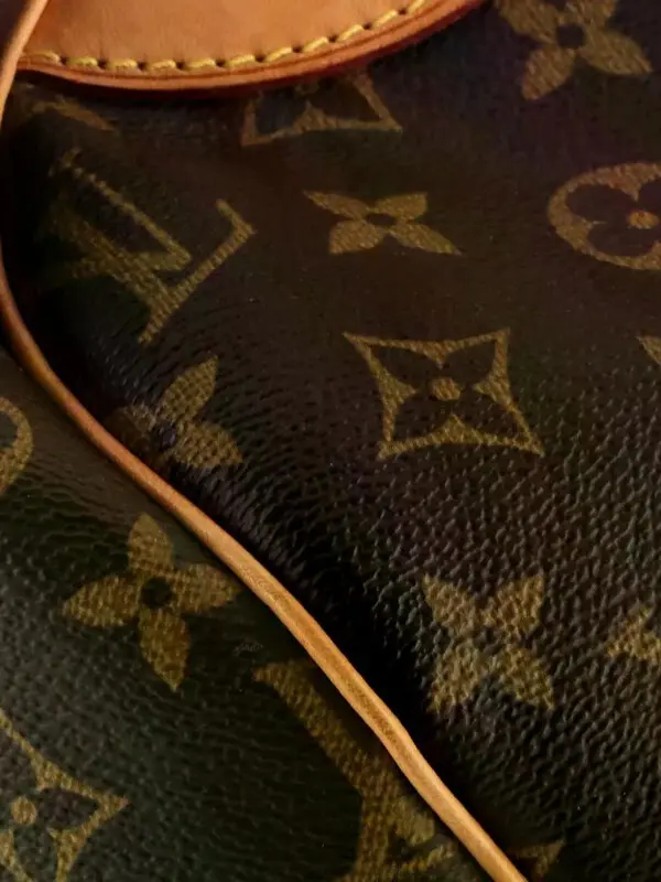 LOUIS VUITTON Evasion Travel Bag Monogram Canvas Mm Satchel