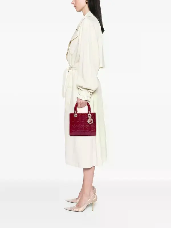 Dior 2019 Medium Patent Cannage Lady Satchel