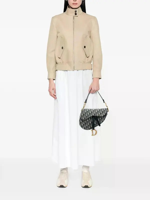 Dior 2019 Oblique Canvas Saddle Bag Shoulder Bag