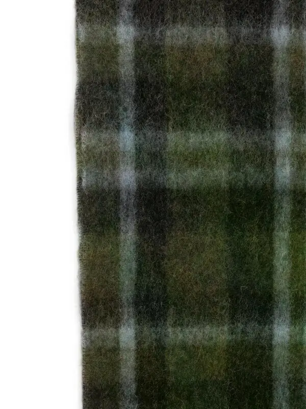 Closed Check-pattern Fringed Scarf
