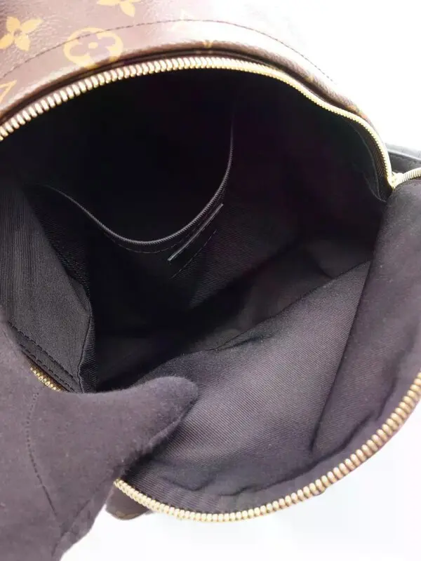 LOUIS VUITTON 2000-2026 Monogram Palm Springs Pm Backpack