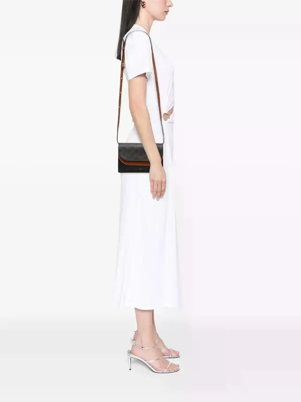 Celine 2022 Triomphe Coated Canvas Wallet On Strap Crossbody Bag - Brown