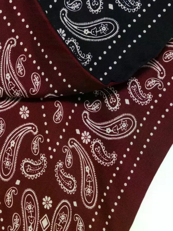 Destin Paisley-print Wool Scarf