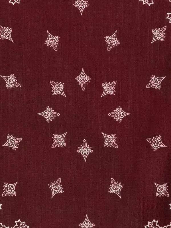 Destin Paisley-print Bandana Scarf