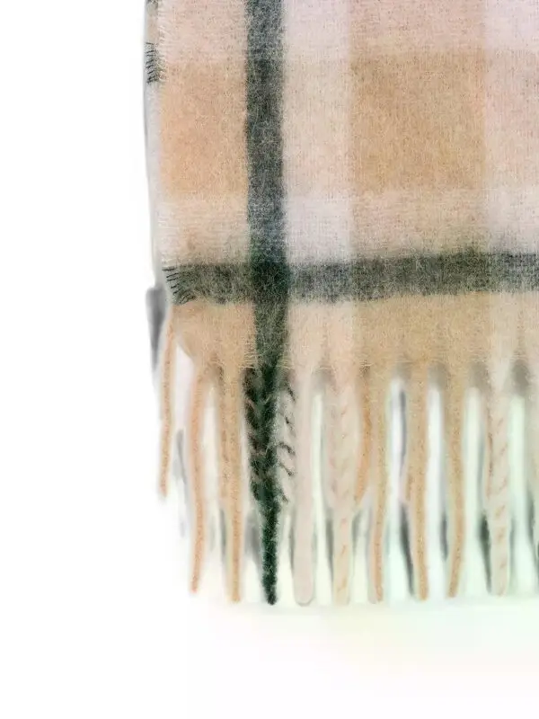Closed Check-pattern Fringed Scarf