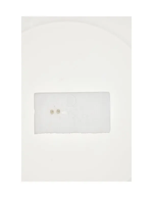Dior Oblique Earrings - Multicolor